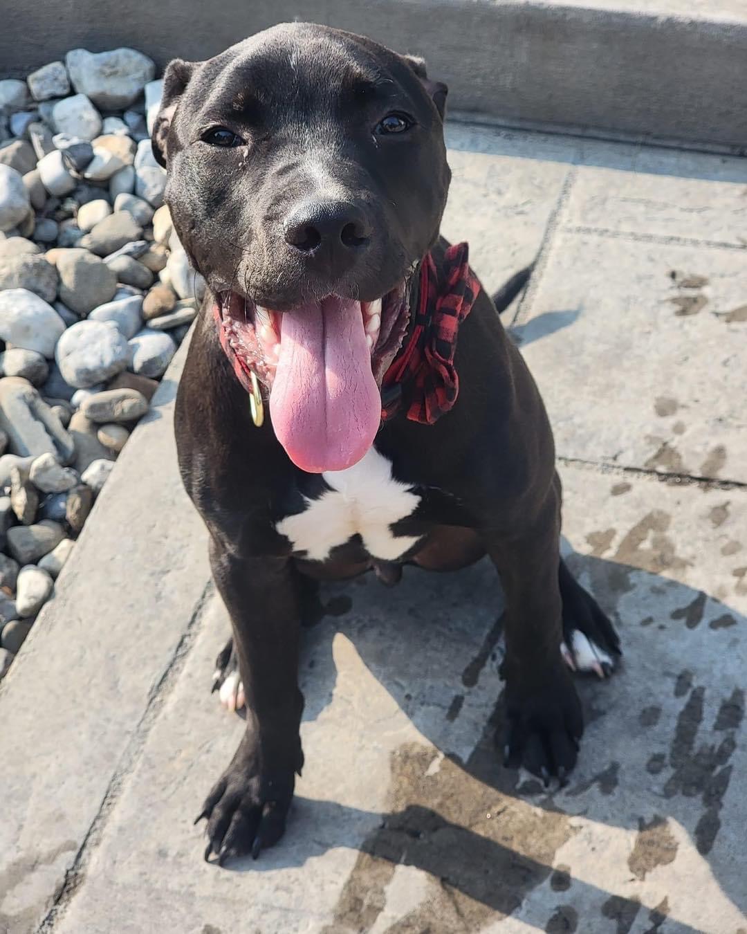 Frito and Divina are the best - Star News